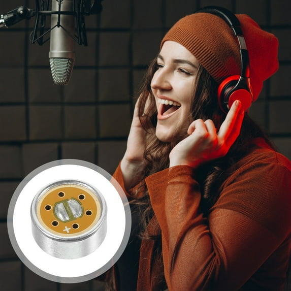 Microphone Capsule Replacement Noise Reduction Handheld Mic 1 Set ...