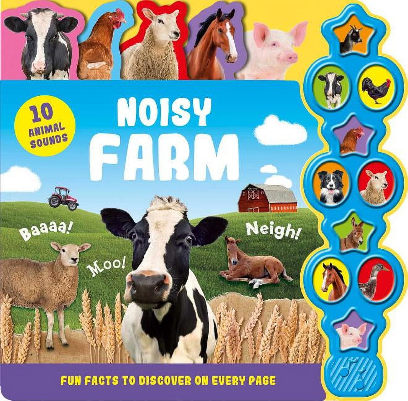Noisy Farm : 10 Button Soundbook (Board book) - Walmart.com