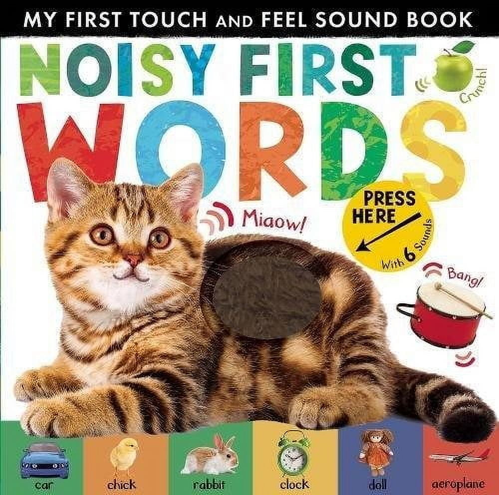 Noisy First Words : My First Touch and Feel Sound Book - Walmart.com
