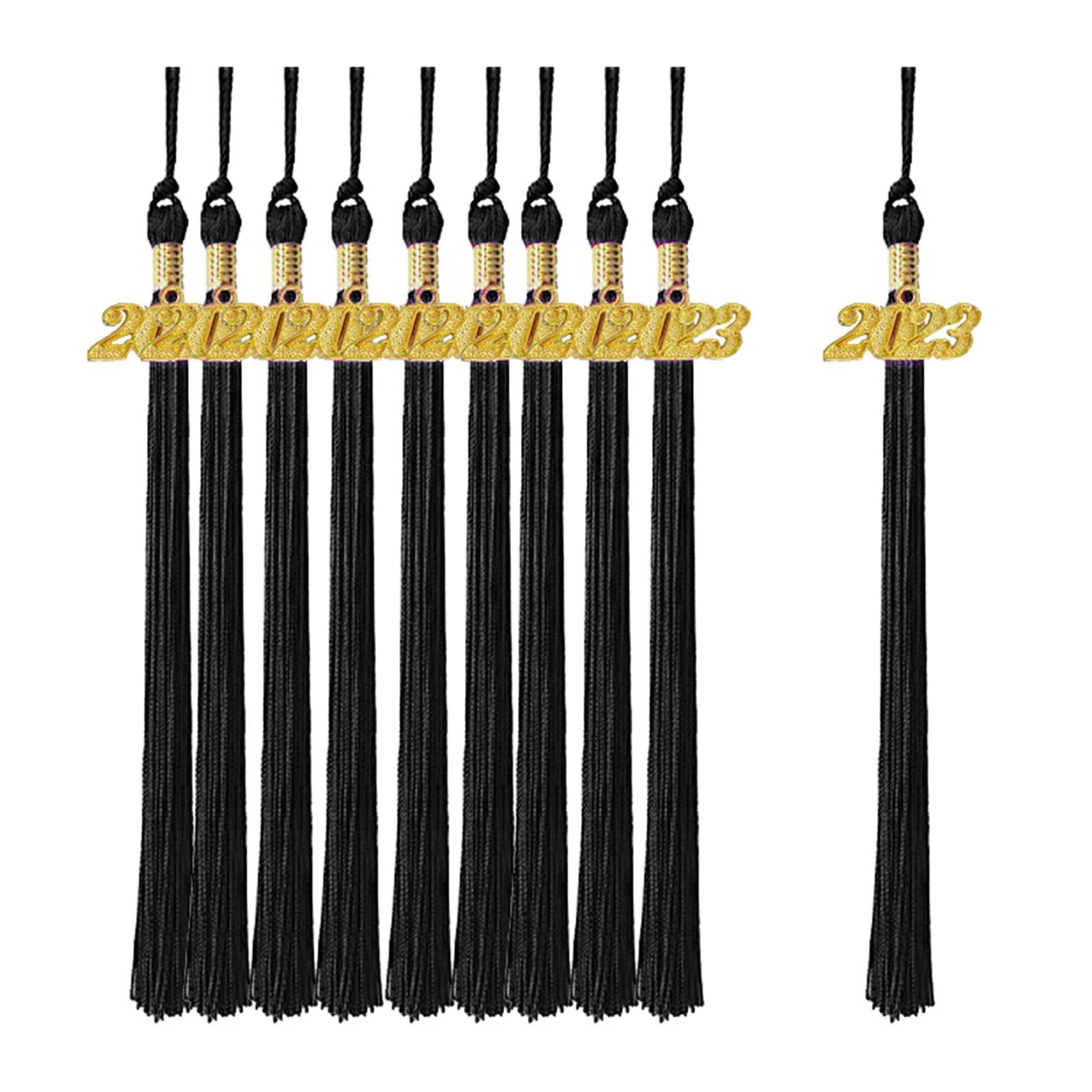Nololo 10 Pieces 2023 Grad Graduation Tassels Graduation Cap Tassels ...