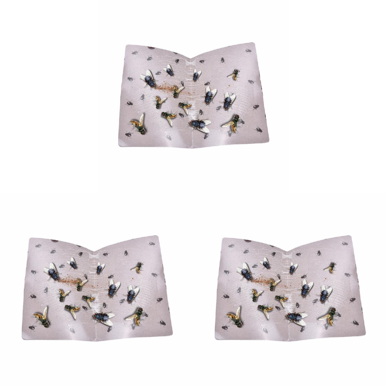 Nololo 30 PCSSummer ticky Glue Paper Fly Flies Trap Catcher Bugs ...