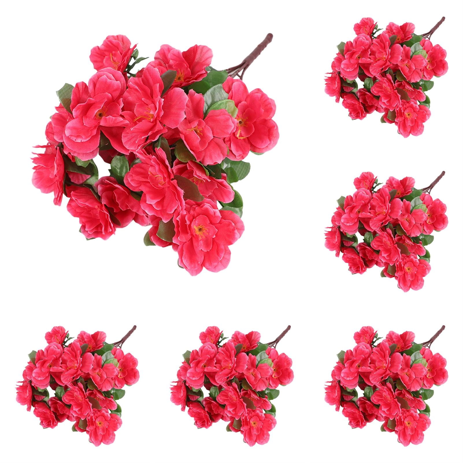 Nololo Azaleas Flower Decoration Flower Bed Horticultural Layout ...