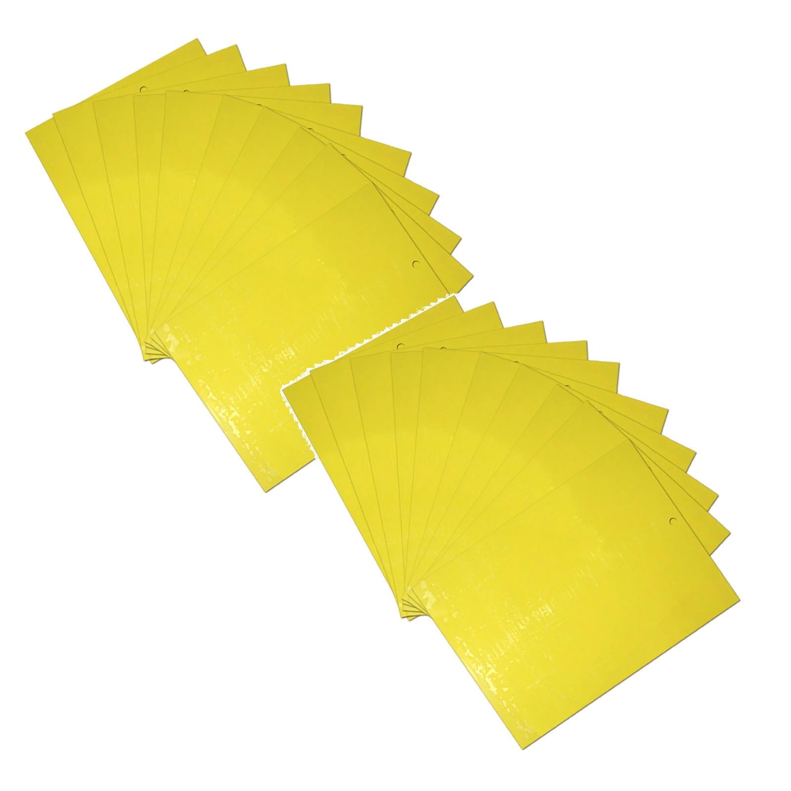 Nololo Fruit Fly Trap, Yellow Sticky For Indoor/Outdoor Flying Insect ...