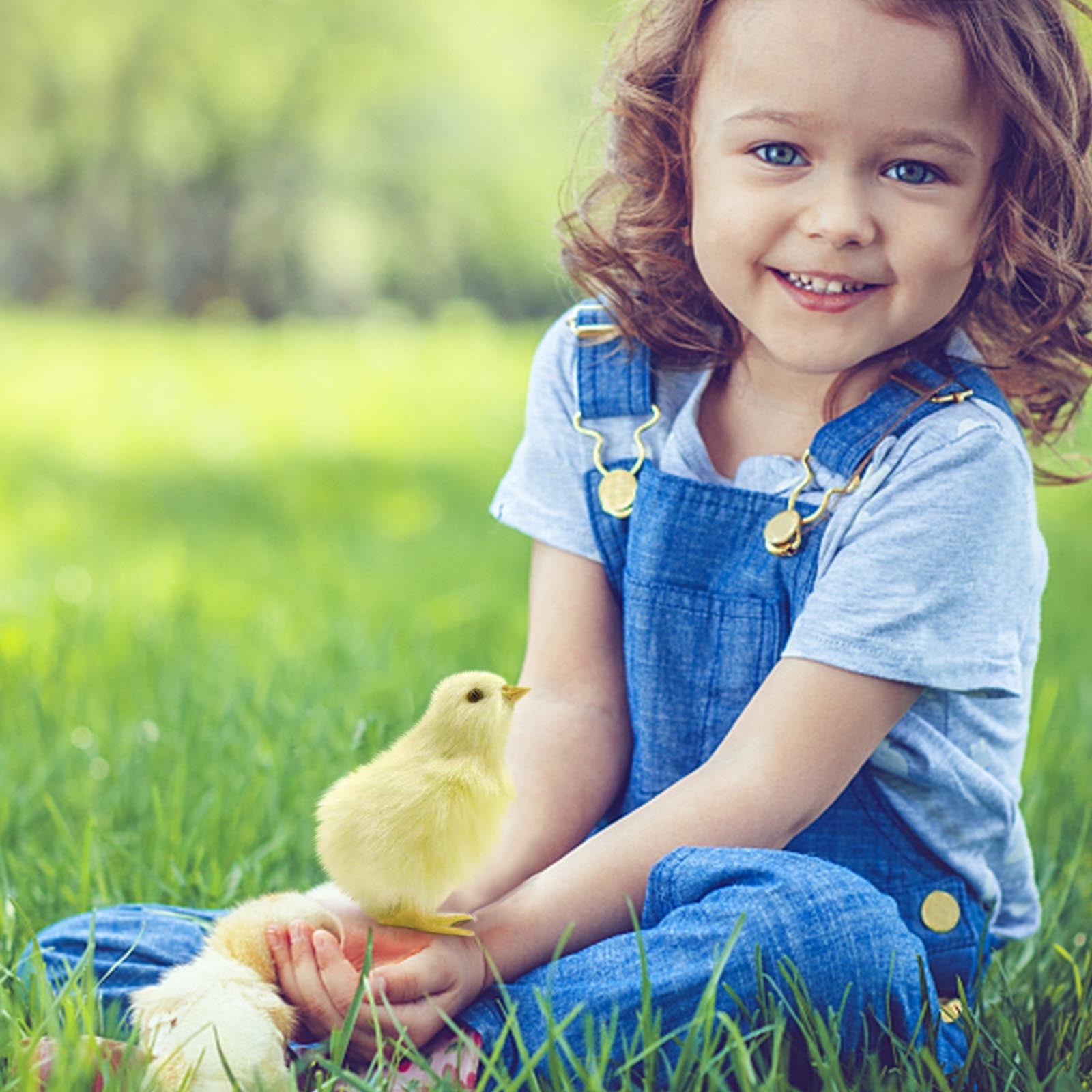 Nololo Home Decor Under 5 Imitation Chicken Plush Toy Doll Children's Teaching Easter Model ...