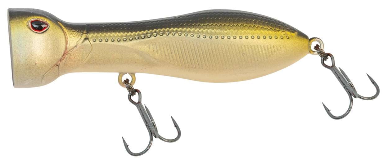 Nomad Chug Norris Popper 72 Autotune Freshwater, 3", 3/8oz, Shadow ...