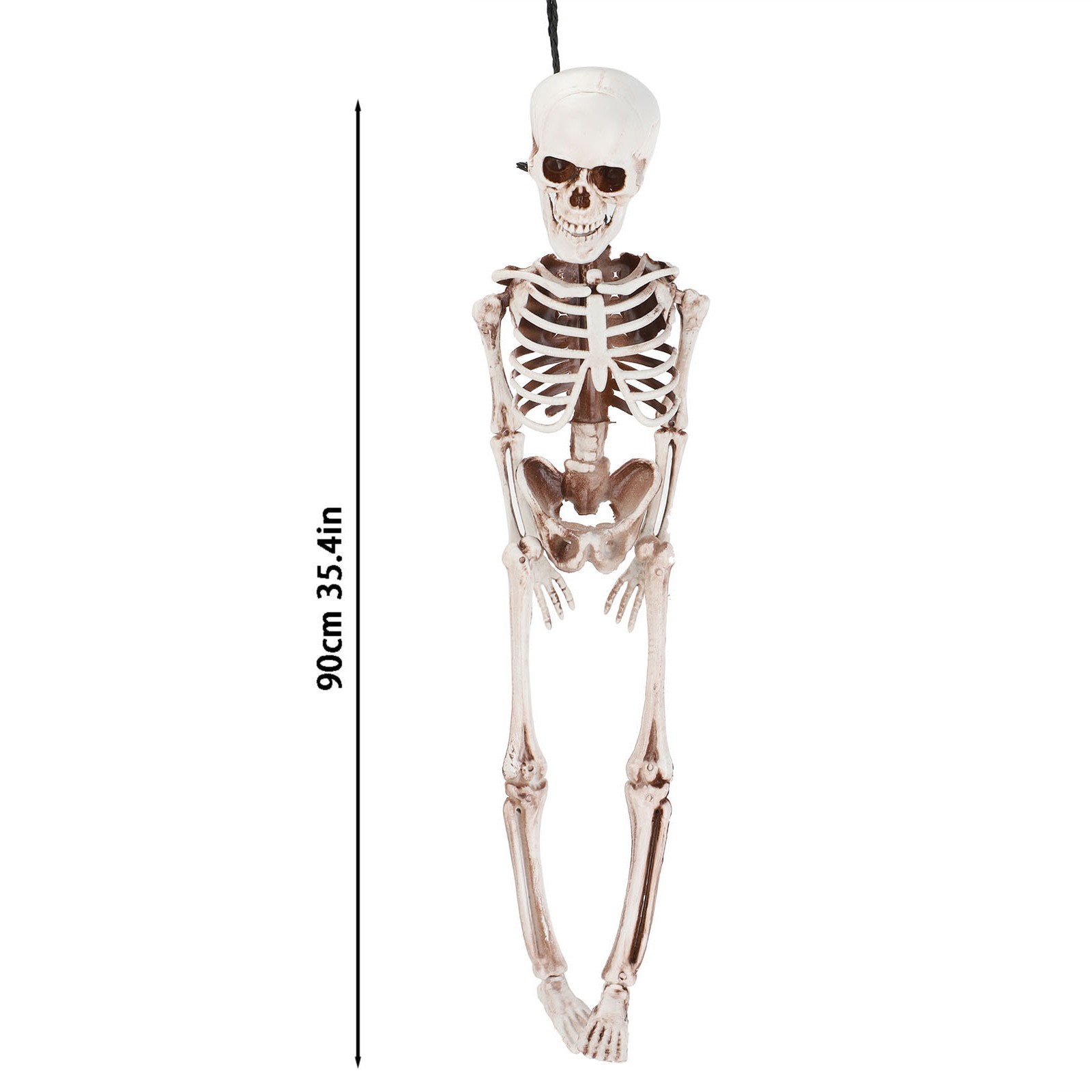Nomeni Clearance Halloween Skeleton Life Size Full Body Posable Joints ...
