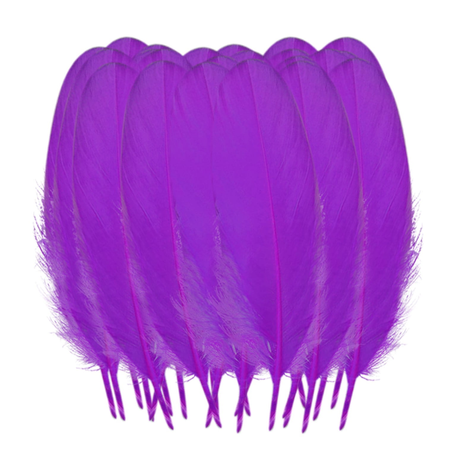 Nomeni Feathers Clearance, 50 Pcs Colourful Plumage for Wedding Party ...
