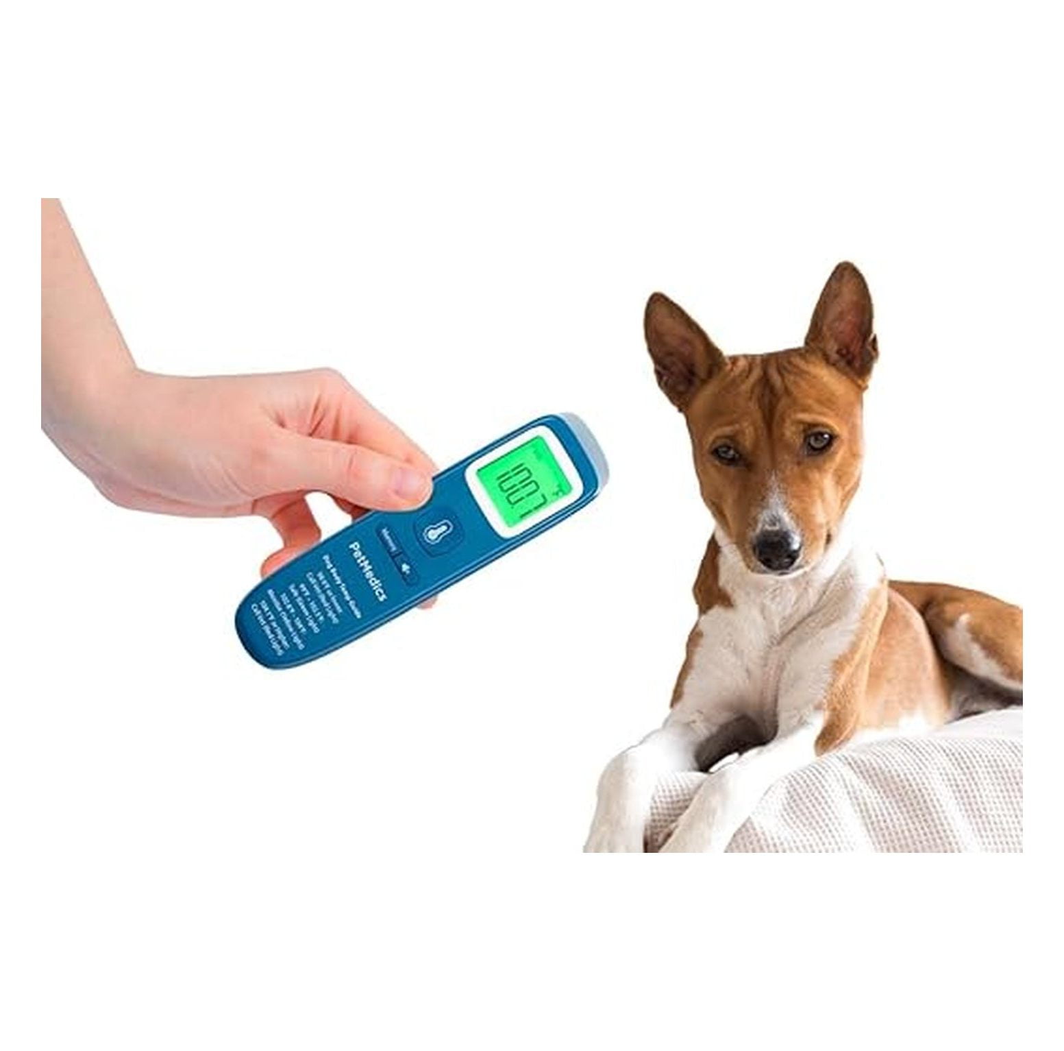 Non-Contact Digital Pet Thermometer for Dogs - Infrared Fast and ...