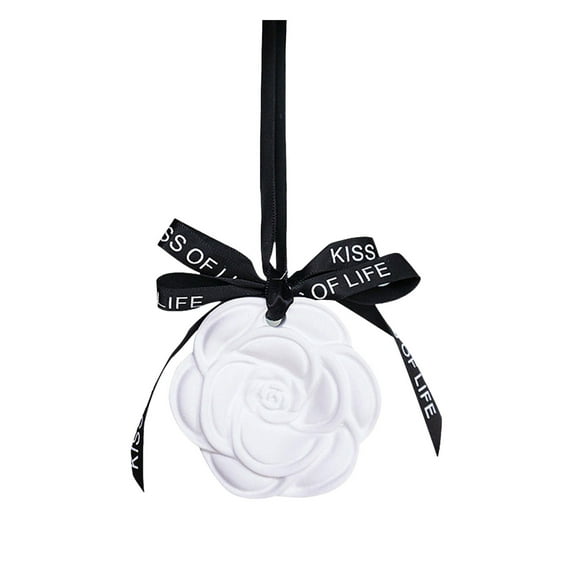 Non - Electric Oil Diffuser Stone - Aromatherapy Hanger for Car, Bathroom, and Desk - Walmart.com