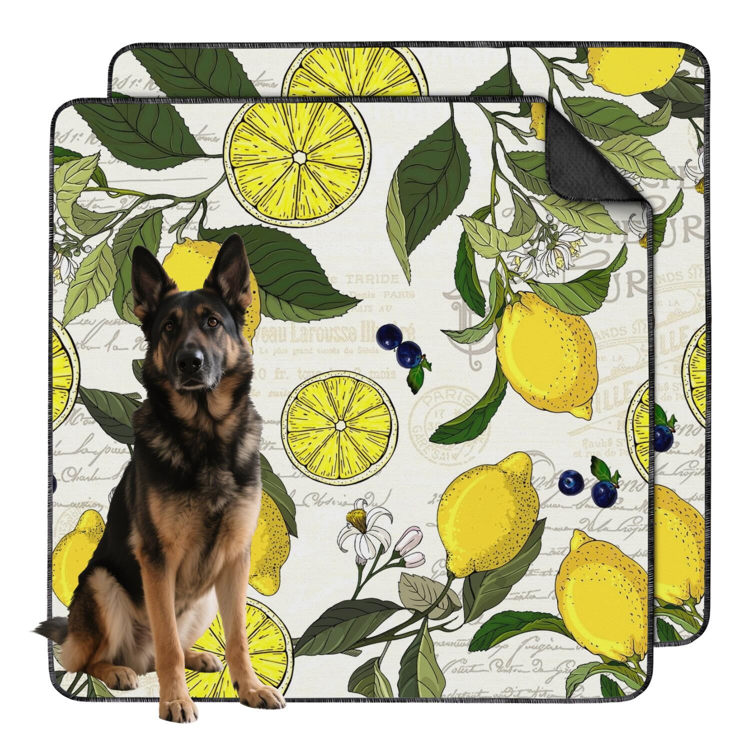 Non-Skid Dog Pee Pads Washable, Colorful Fruit Print Reusable Potty Mat ...