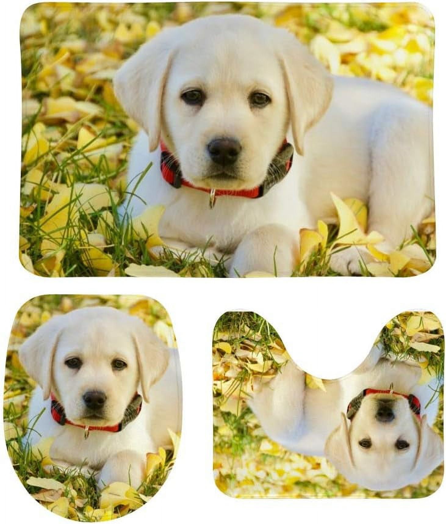 Non-Slip 3 Piece Bathroom Rug Set Labrador Retriever with Red Collar ...