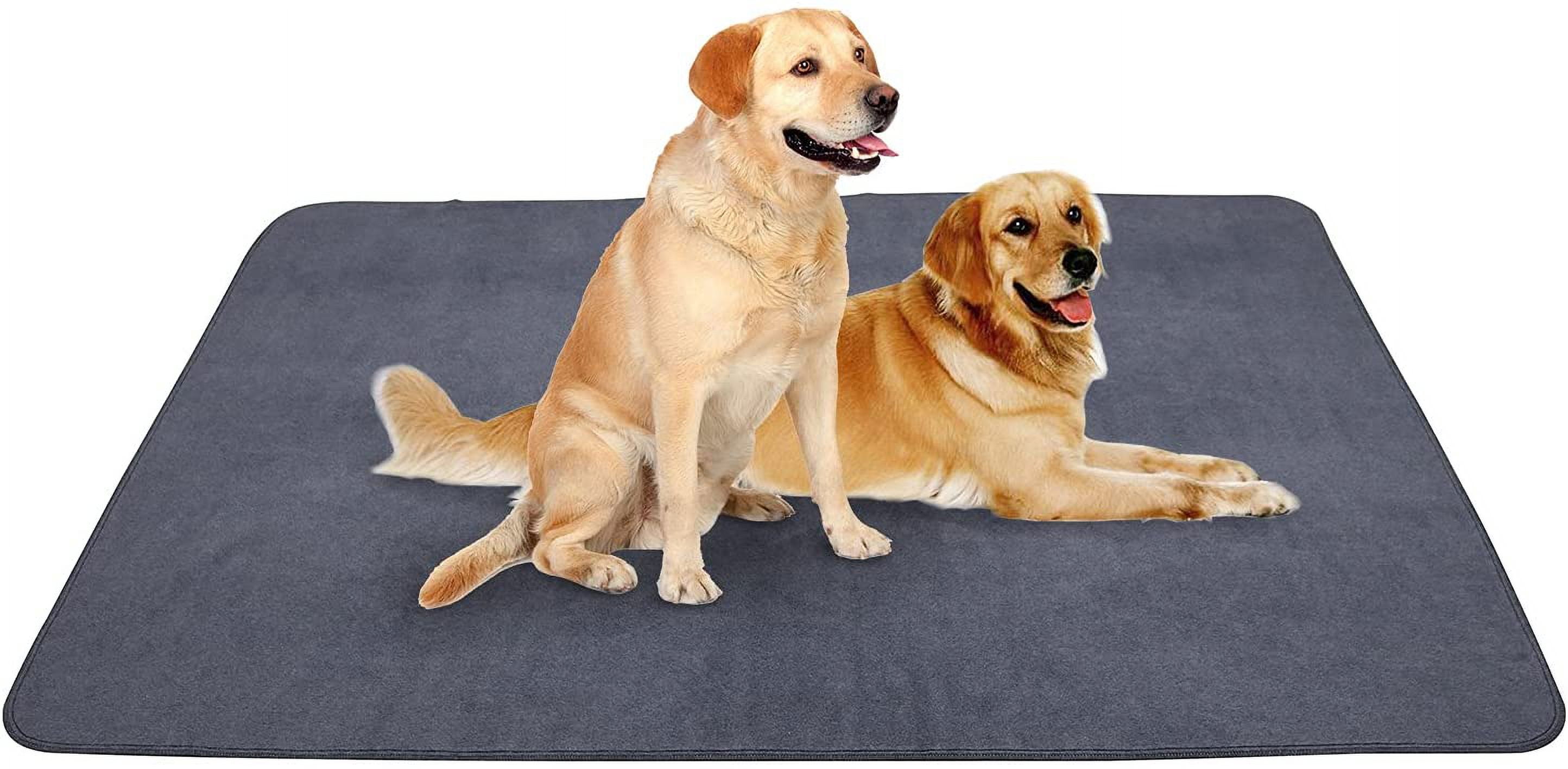 Non-Slip Dog Mat (XL) 35" x 47", Washable Puppy Mat, Quick Absorb ...