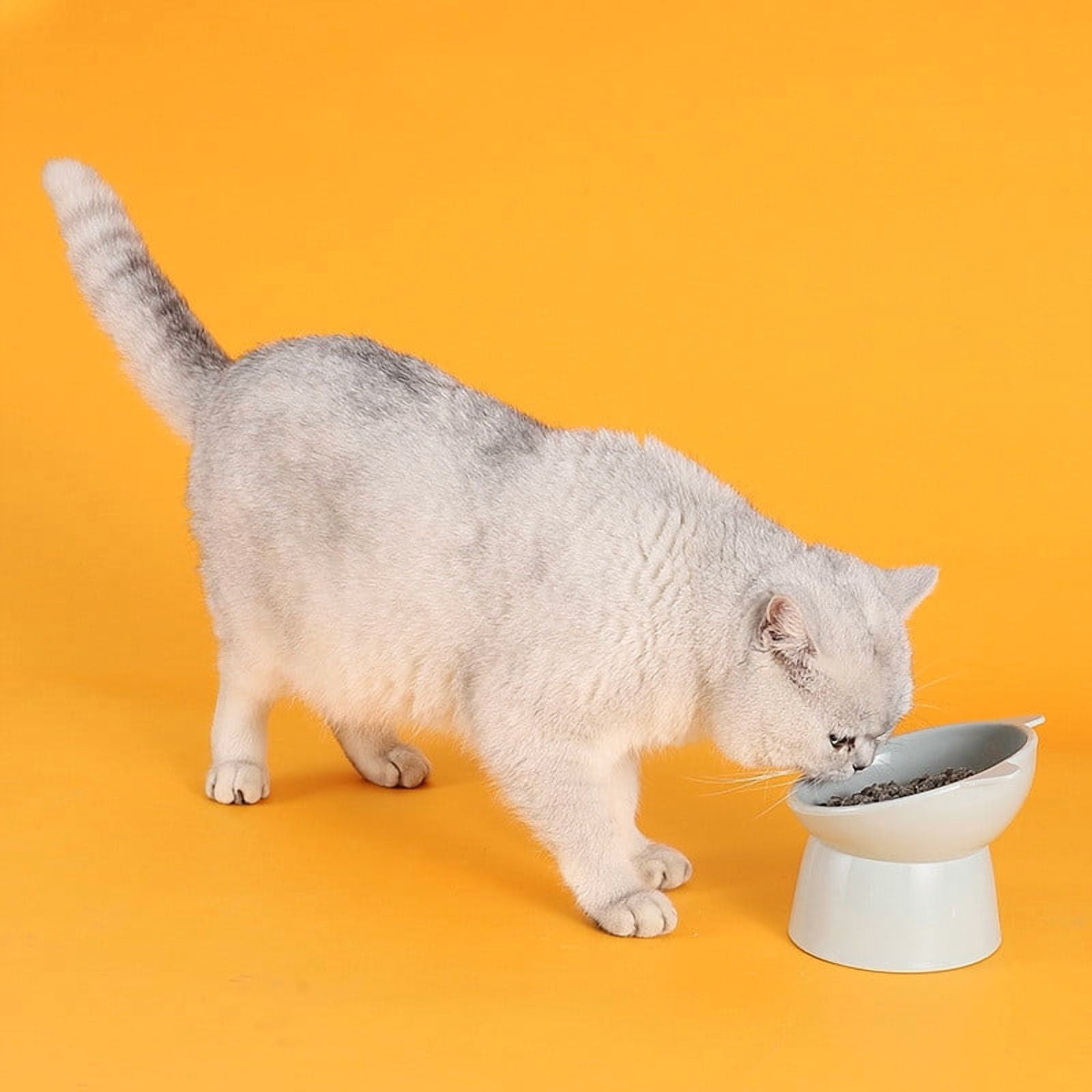 Non-Spill Slow Feeder Dog Bowl, 15 Degree Tilted Anti-Slip Cat Dish ...