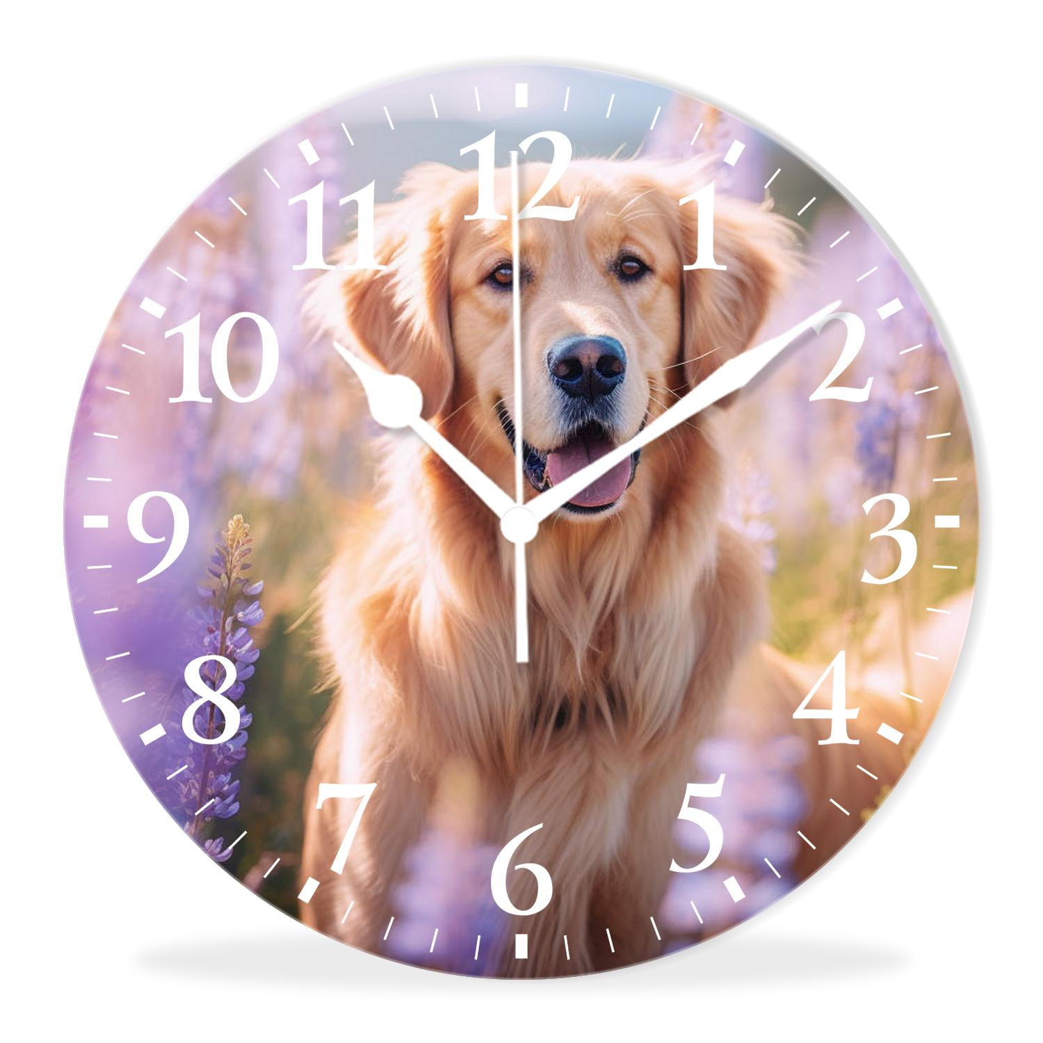 Non-Ticking Silent Clock Battery Operated Analog Clcok Round Wall ...