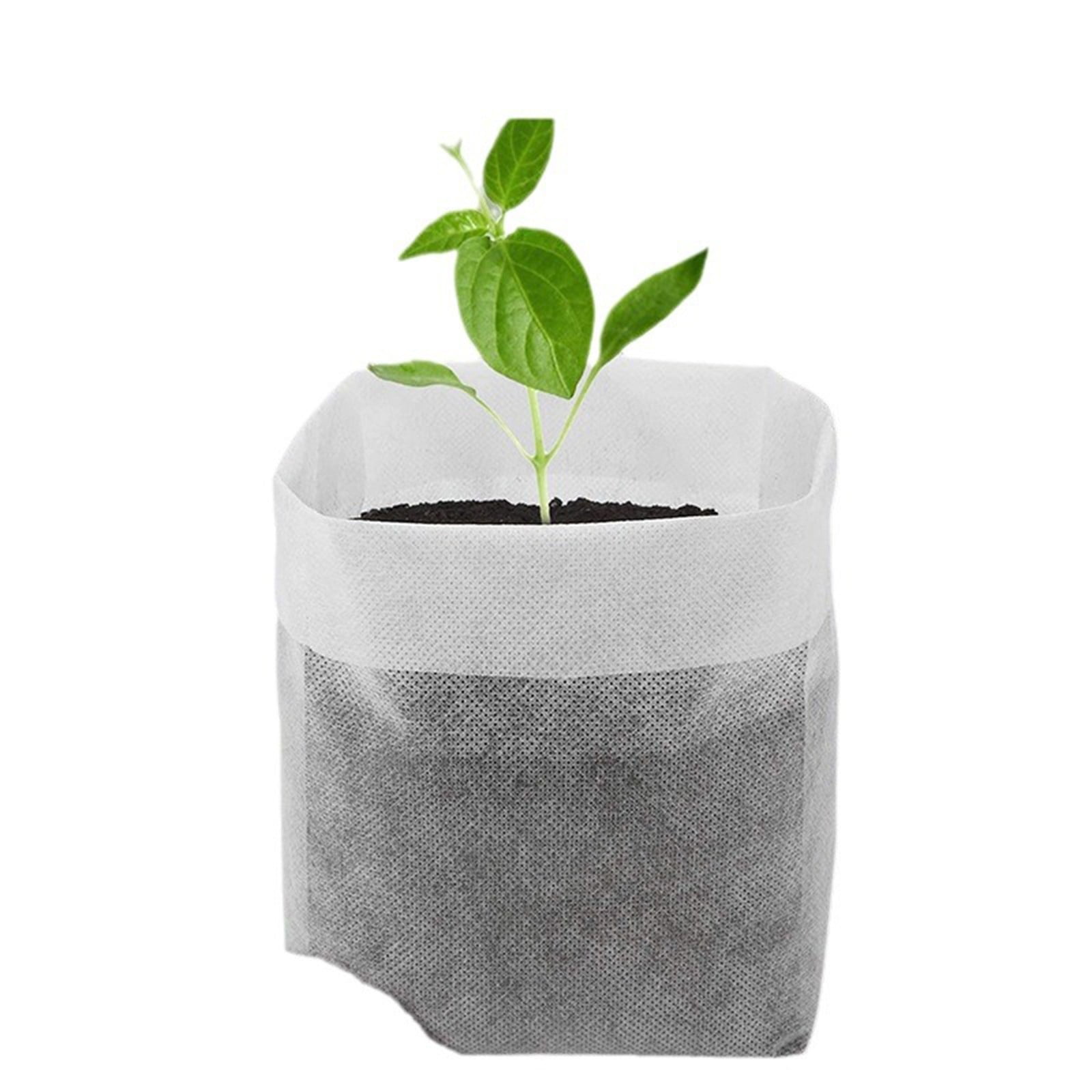Non Woven Seedling Bag,Beautiful Planting Bag,Seedling Cup,Thickened ...