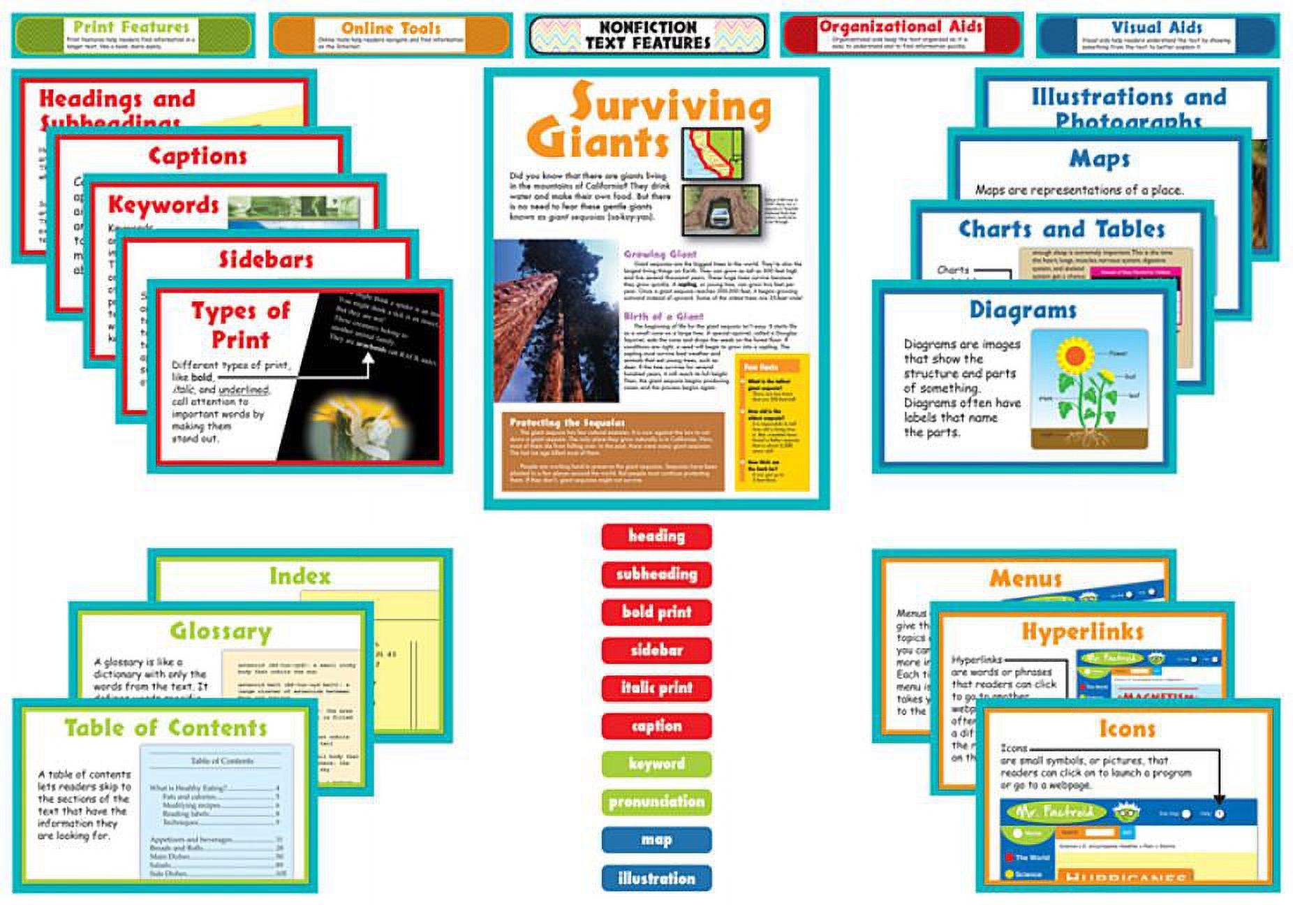 Nonfiction Text Features Bulletin Board Set (Other) - Walmart.com