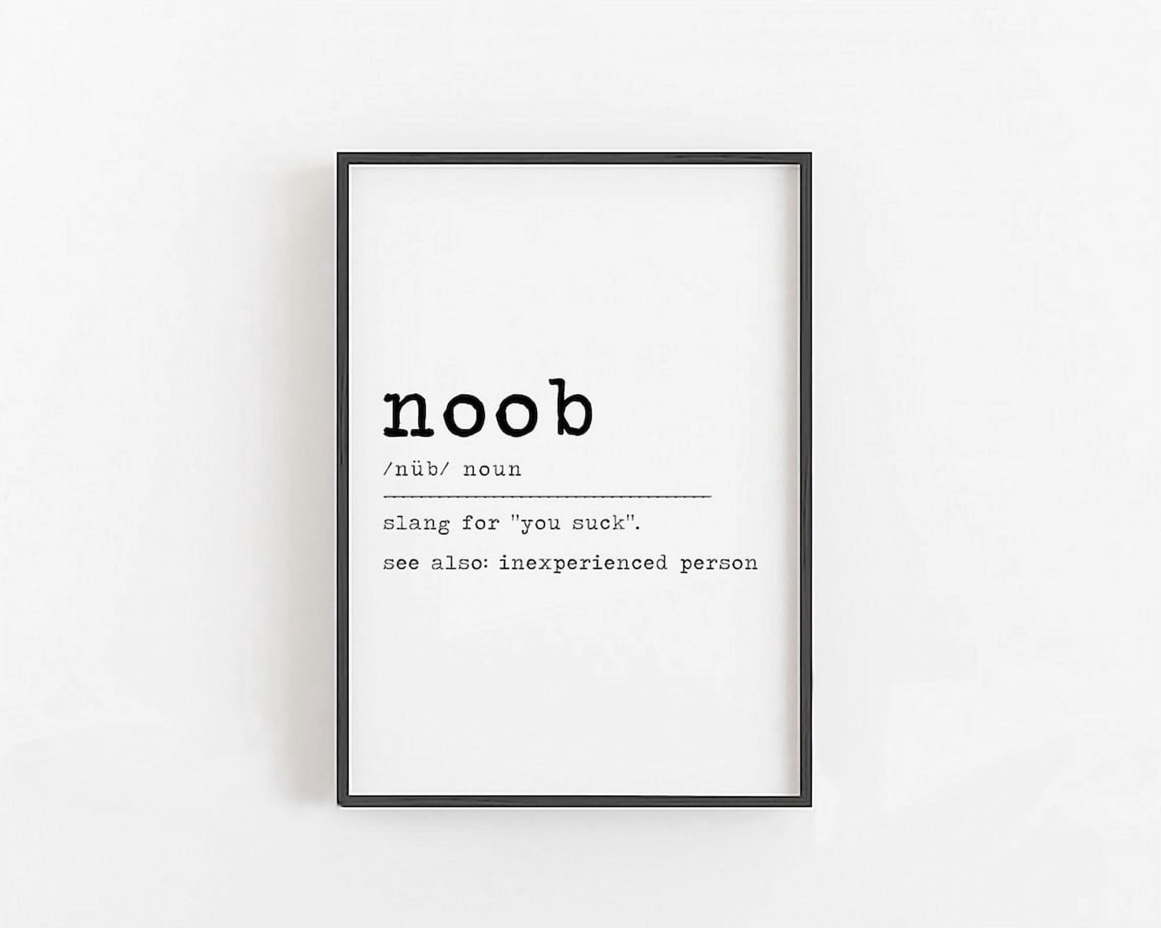 Noob Definition, Noob Print, Funny Gamer Decor, Funny Gamer Gifts for ...