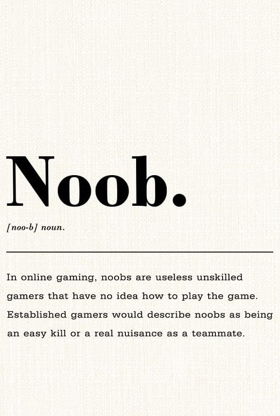 Noob Definition Poster Gaming Posters, Gaming Room Decor, Wall Canvas ...