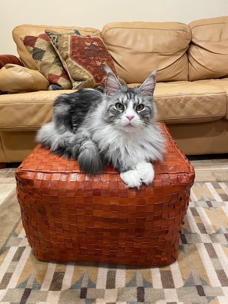 Noora Real Leather Pouf Cover, Un-stuffed MOROCCAN Square POUF, Luxury ...