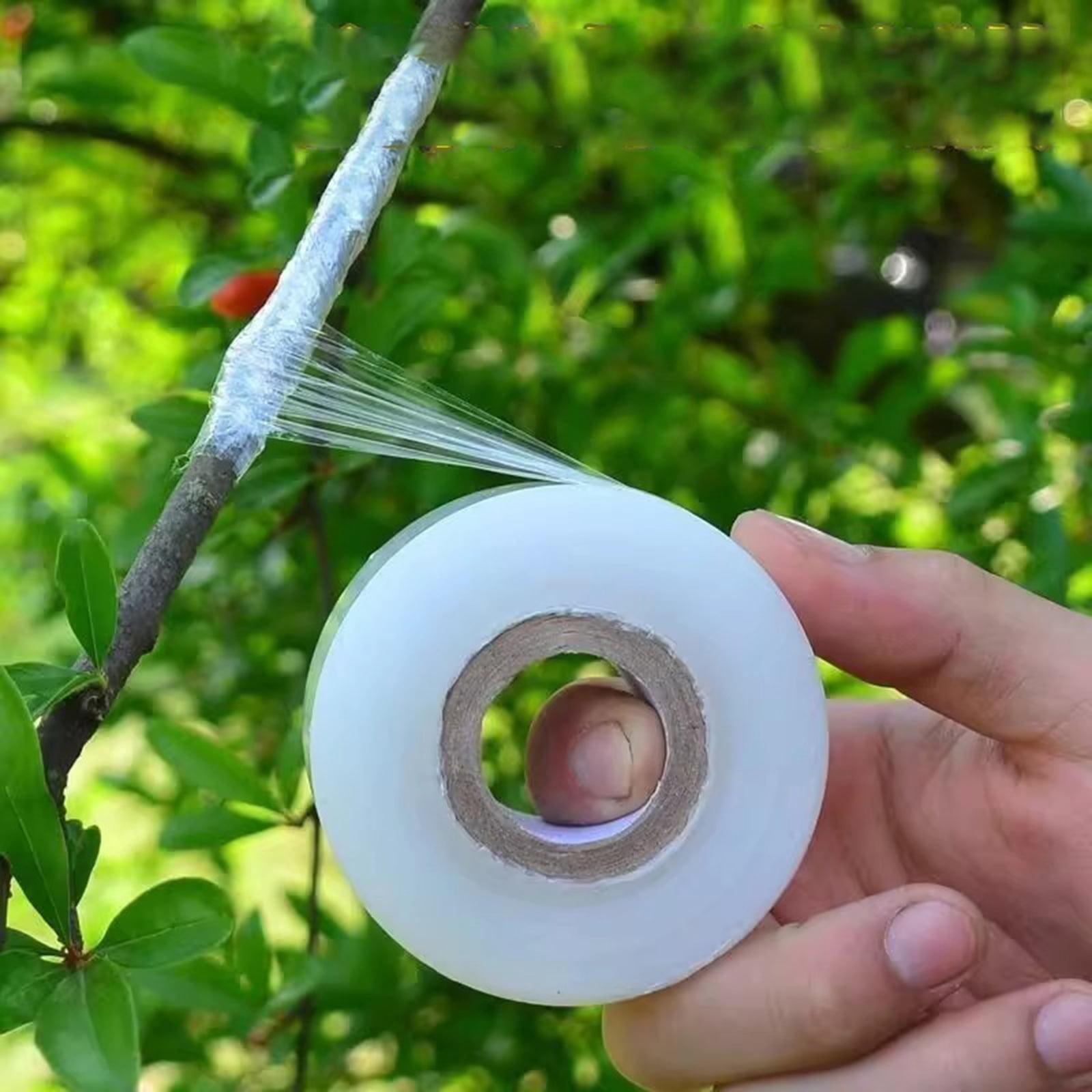Noothes Tree Grafting Tape Stretchable Adhesive Plant Grafting Tape ...