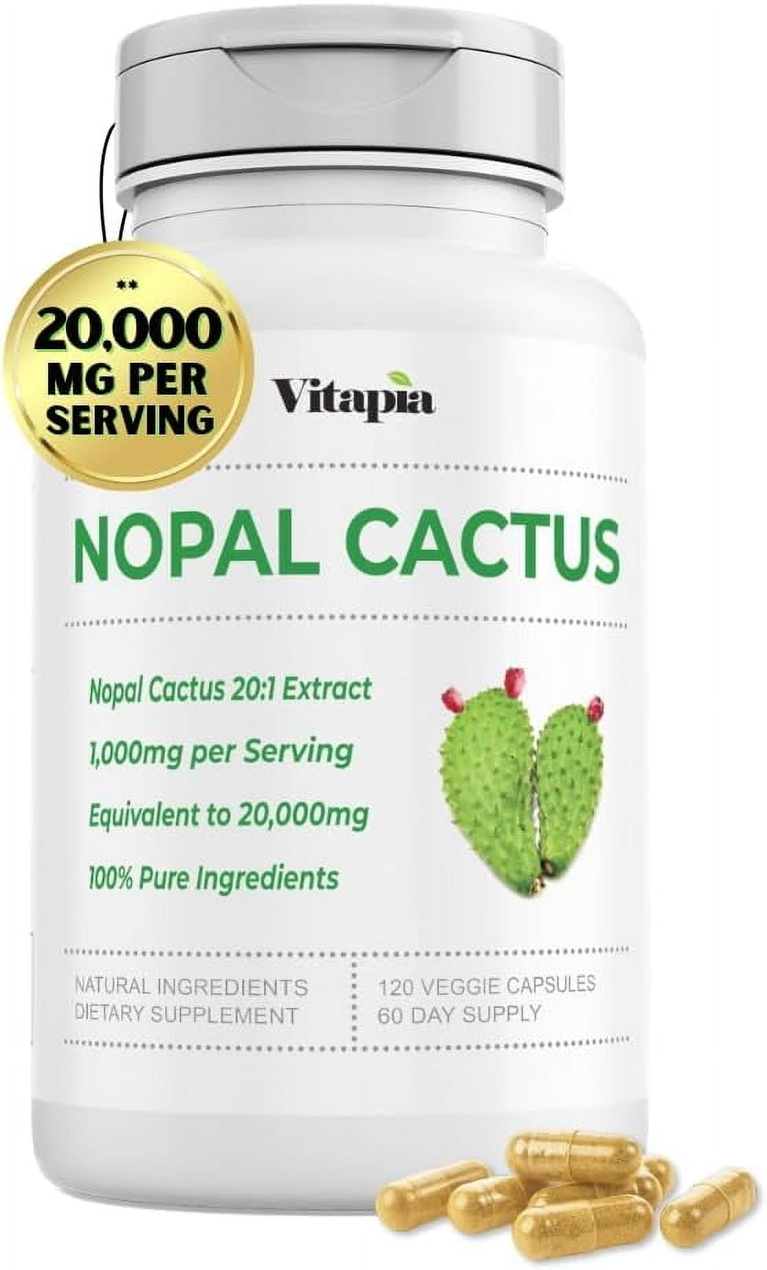 Nopal Cactus Extract 20,000mg for Antioxidant, Skin, Metabolism ...