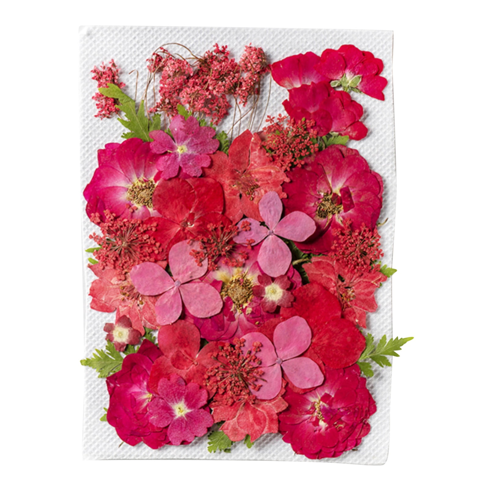 Norbi 70 Pcs Mix Dried Flowers For Resin Jewellery Dry Plants Pressed ...