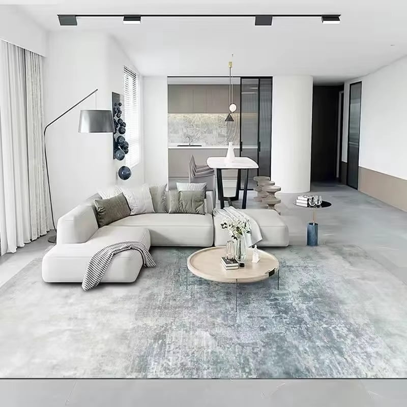 Nordic Simple Style Fluffy Soft Carpet Modern Living Room ration Large ...