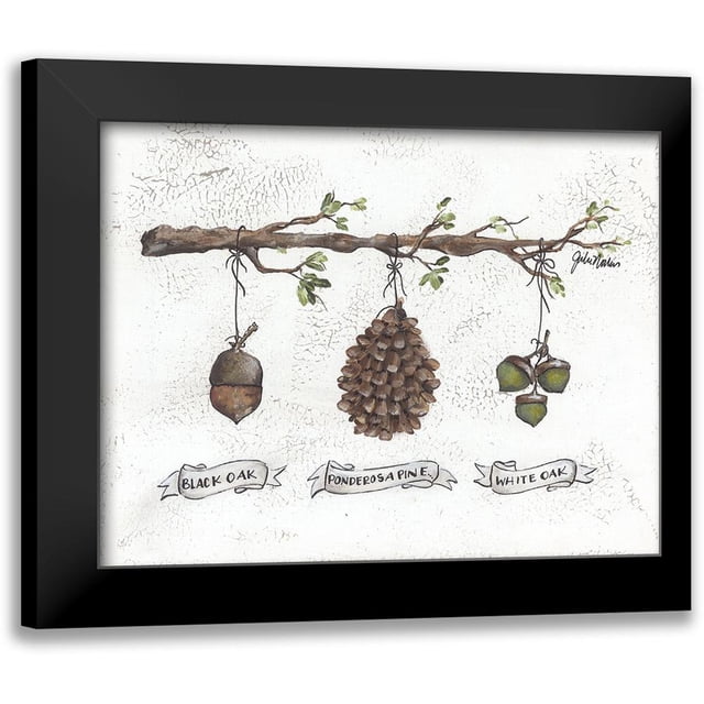 Norkus, Julie 14x12 Black Modern Framed Museum Art Print Titled ...