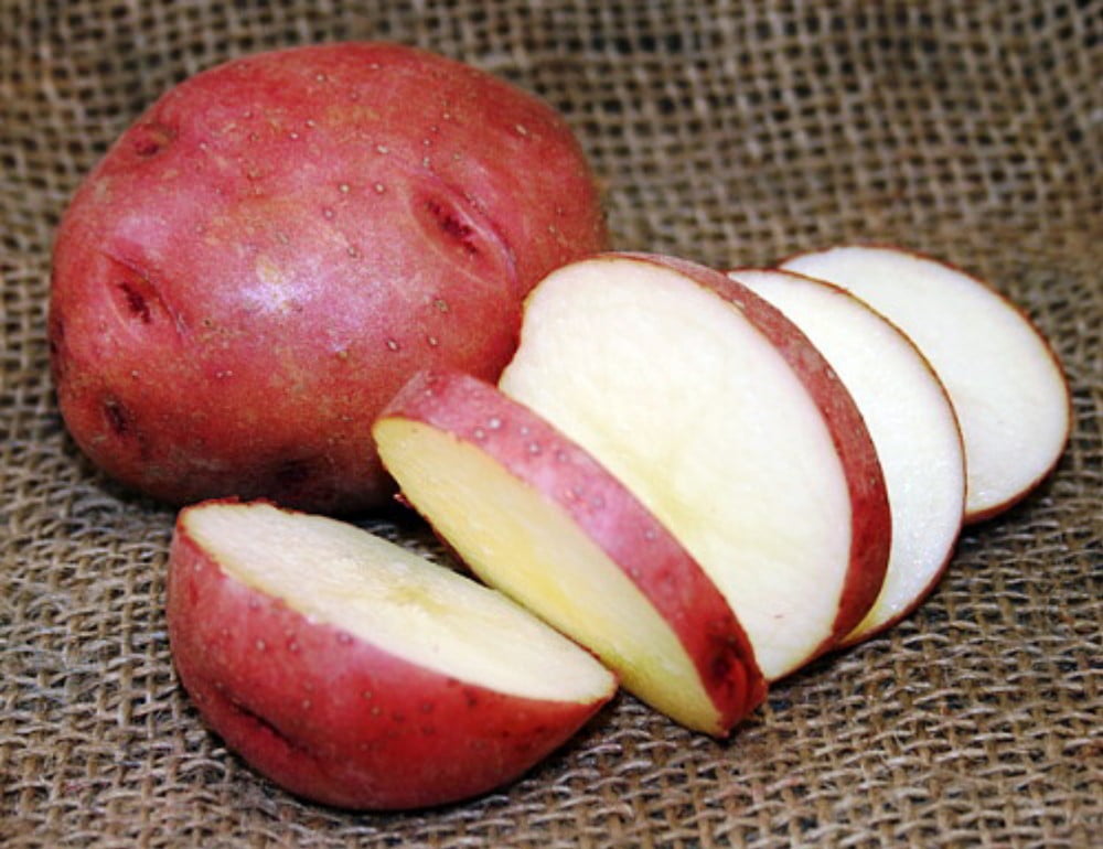 Norland Red Potato - 6 Seed Tubers - Walmart.com