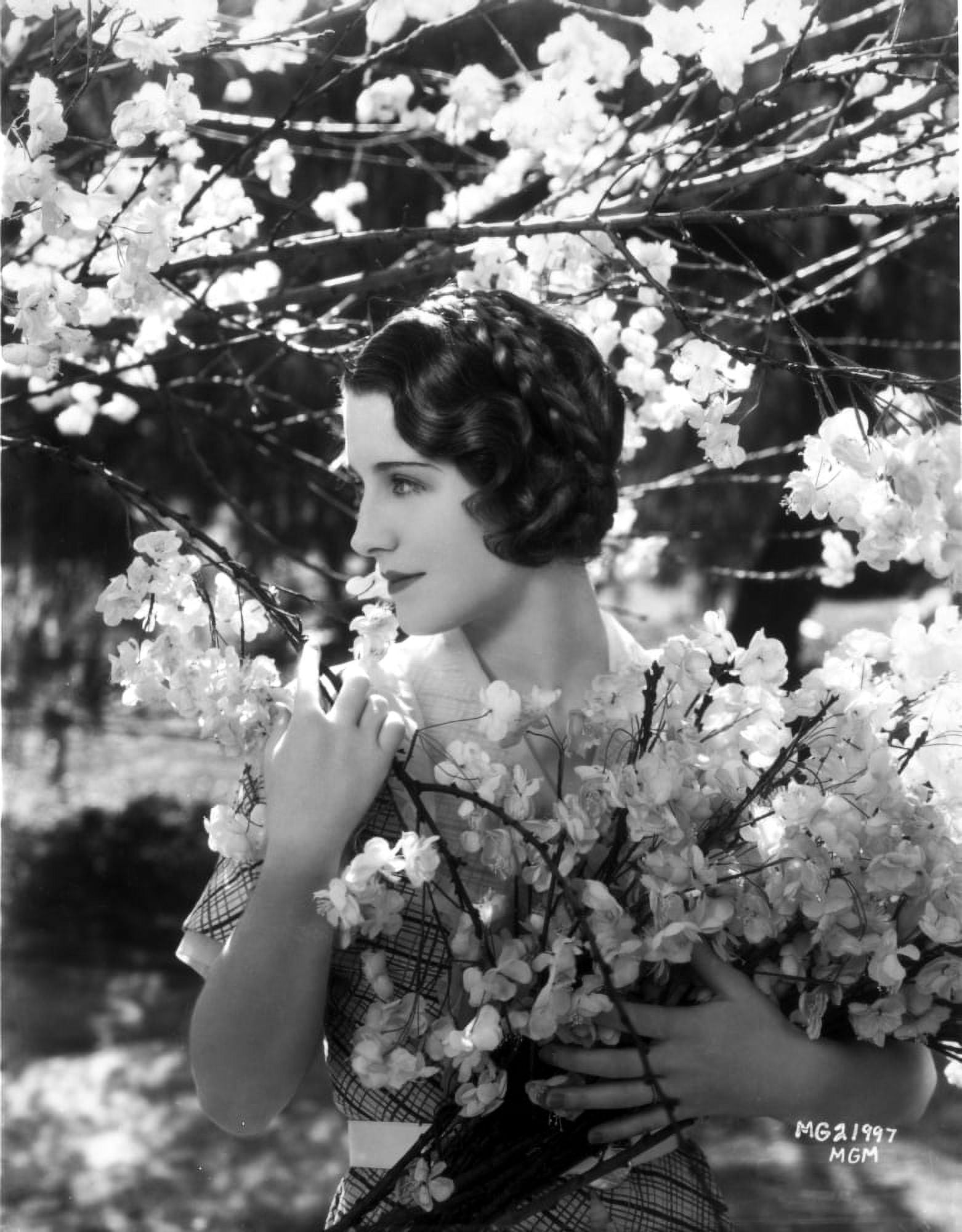 Norma Shearer Portrait in Plaid Dress Photo Print (24 x 30) - Walmart.com