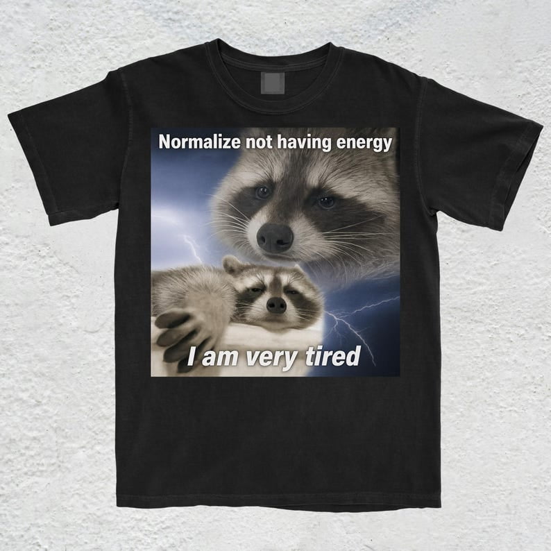 Normalize not having energy I am very tired Shirt, Funny Possum Shirt ...