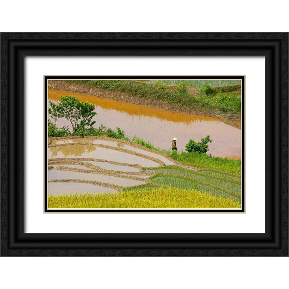 Norring, Tom 14x11 Black Ornate Wood Framed with Double Matting Museum ...