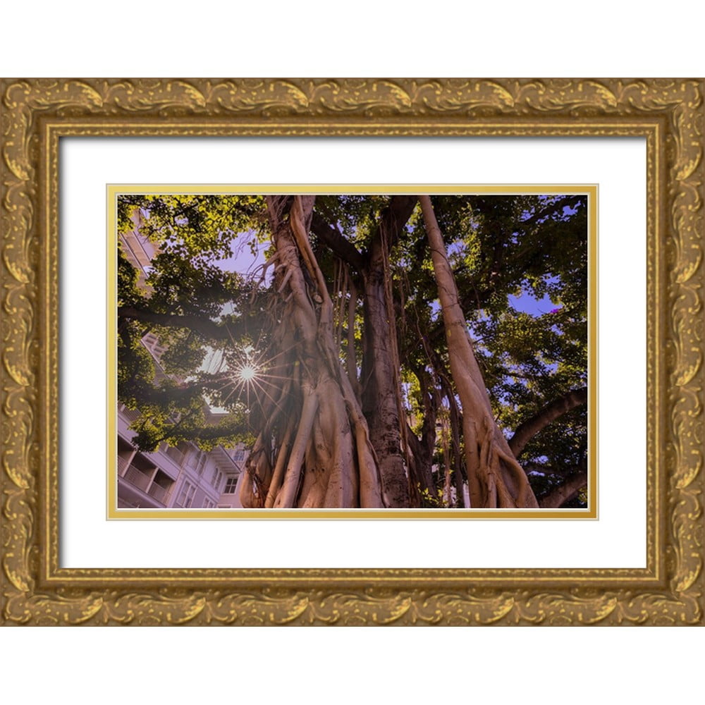 Norring, Tom 14x11 Gold Ornate Wood Framed with Double Matting Museum ...