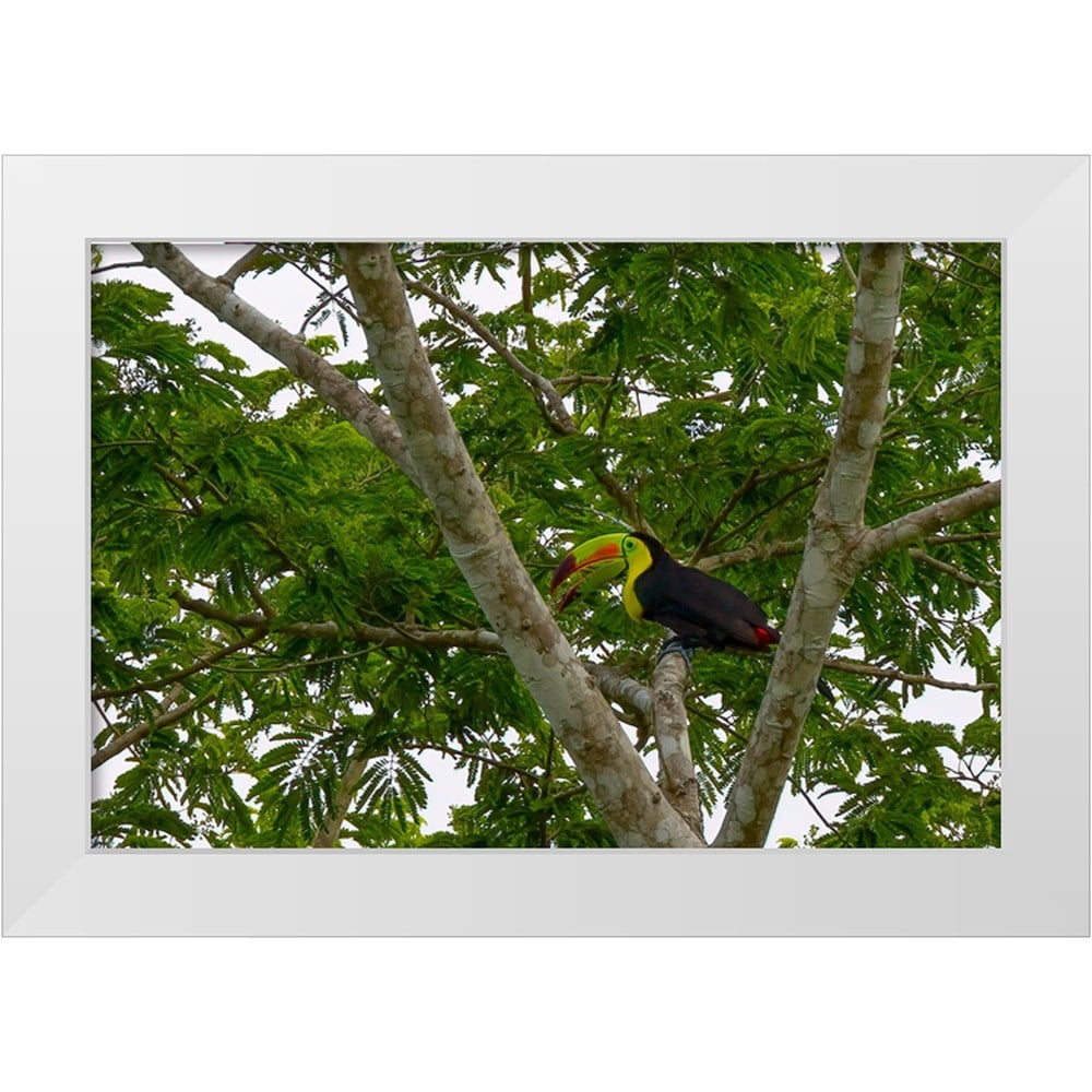 Norring, Tom 14x11 White Modern Wood Framed Museum Art Print Titled ...