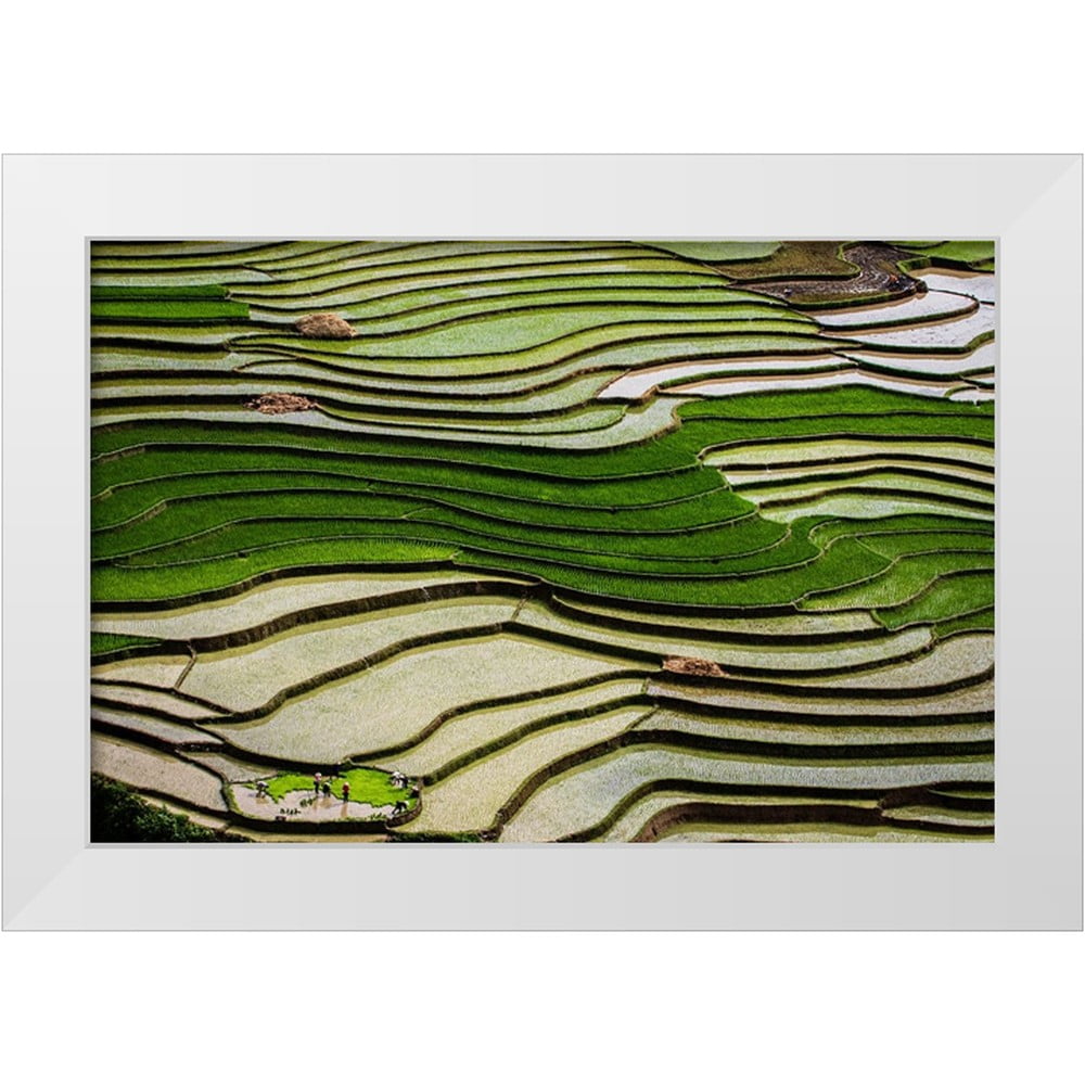 Norring, Tom 14x11 White Modern Wood Framed Museum Art Print Titled ...