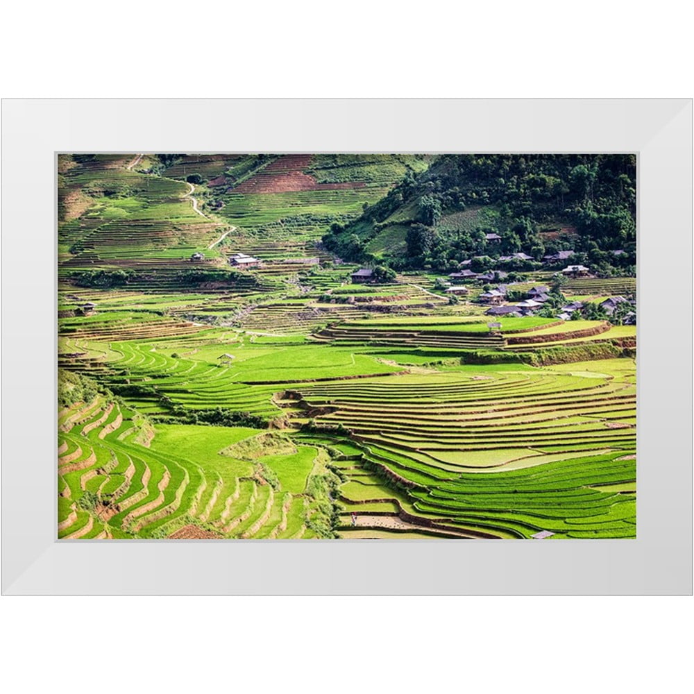 Norring, Tom 14x11 White Modern Wood Framed Museum Art Print Titled ...