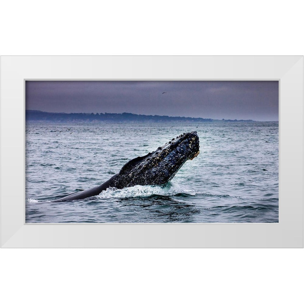 Norring, Tom 18x12 White Modern Wood Framed Museum Art Print Titled ...