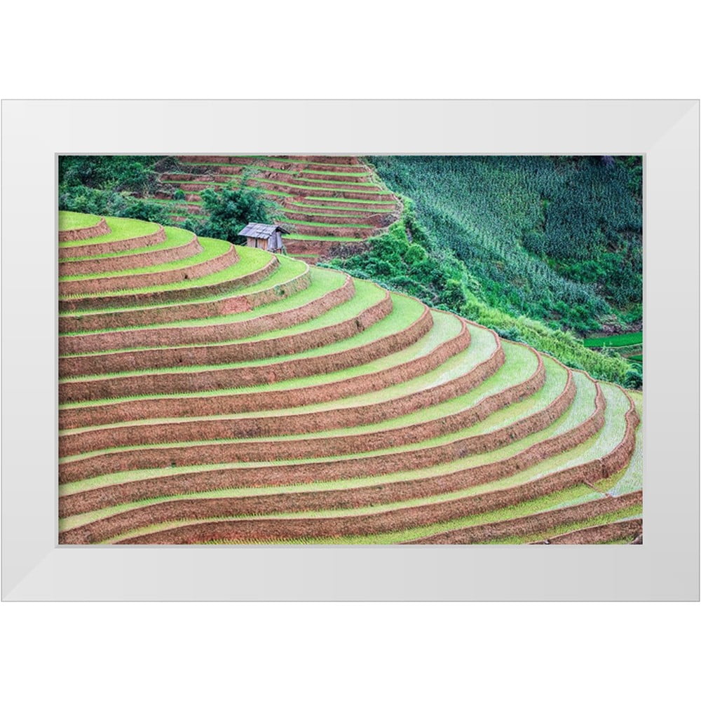 Norring, Tom 18x13 White Modern Wood Framed Museum Art Print Titled ...