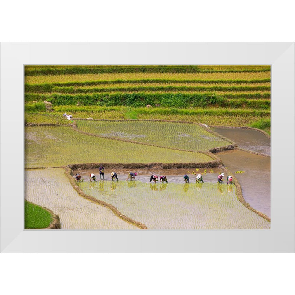 Norring, Tom 18x13 White Modern Wood Framed Museum Art Print Titled ...