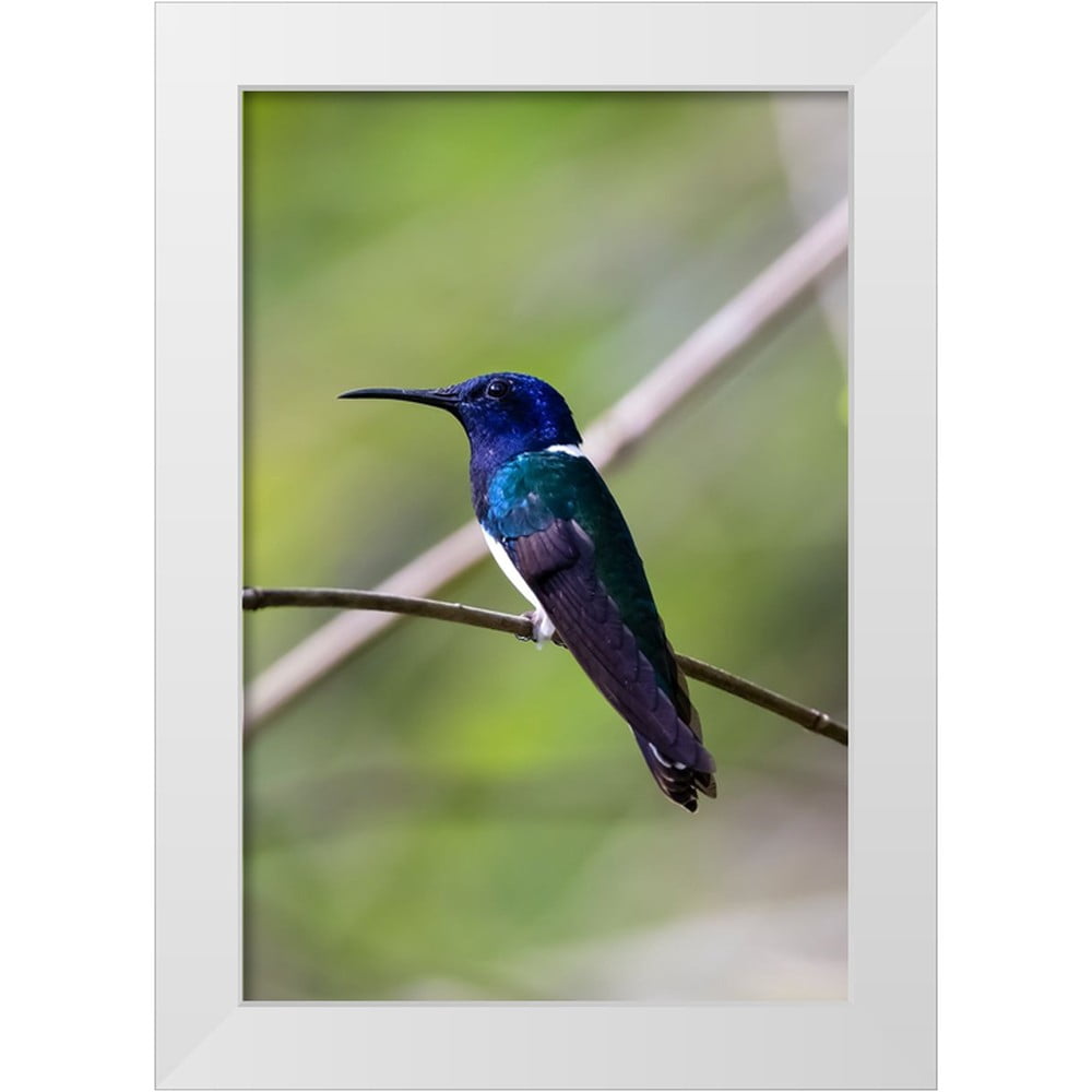 Norring, Tom 23x32 White Modern Wood Framed Museum Art Print Titled ...