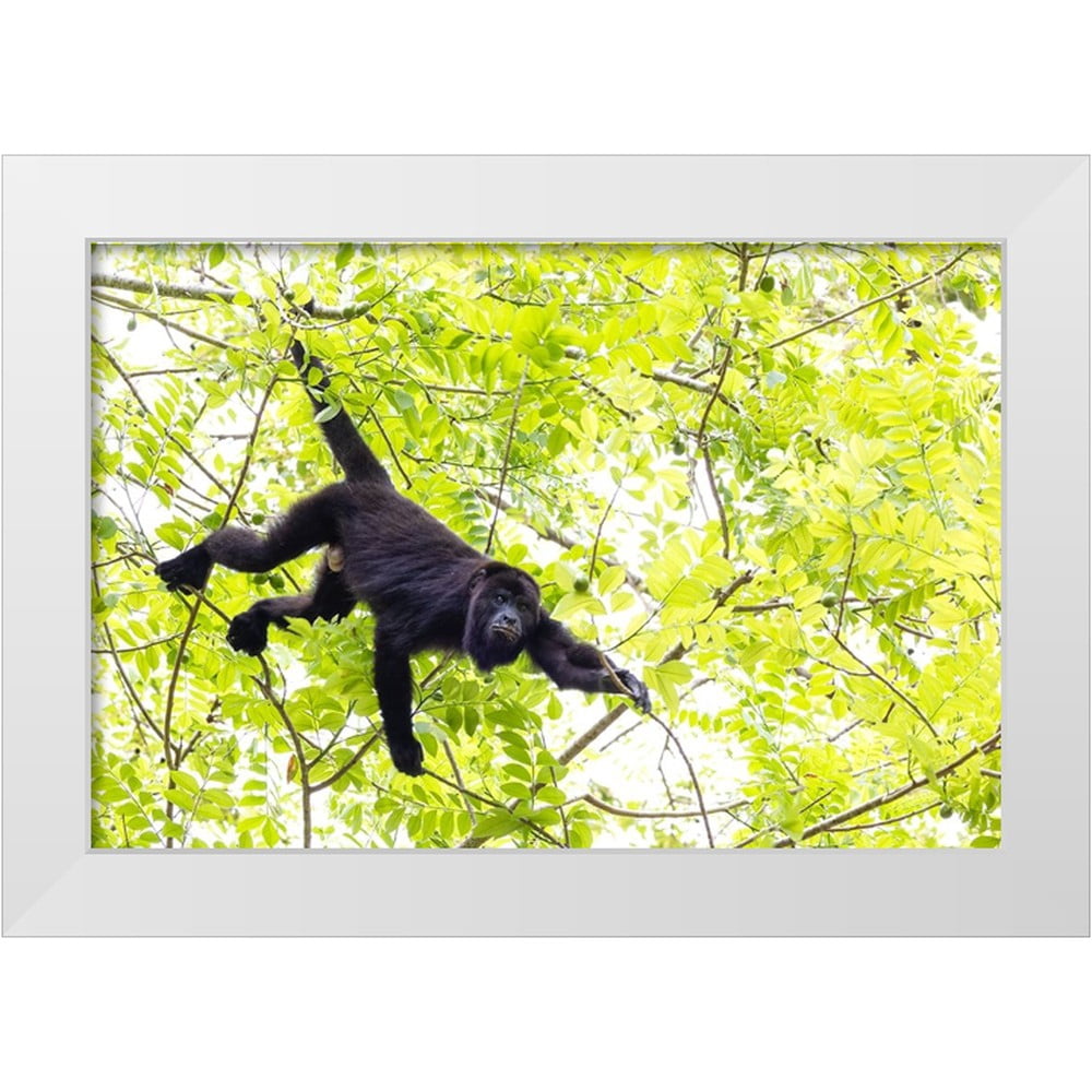 Norring, Tom 24x17 White Modern Wood Framed Museum Art Print Titled ...