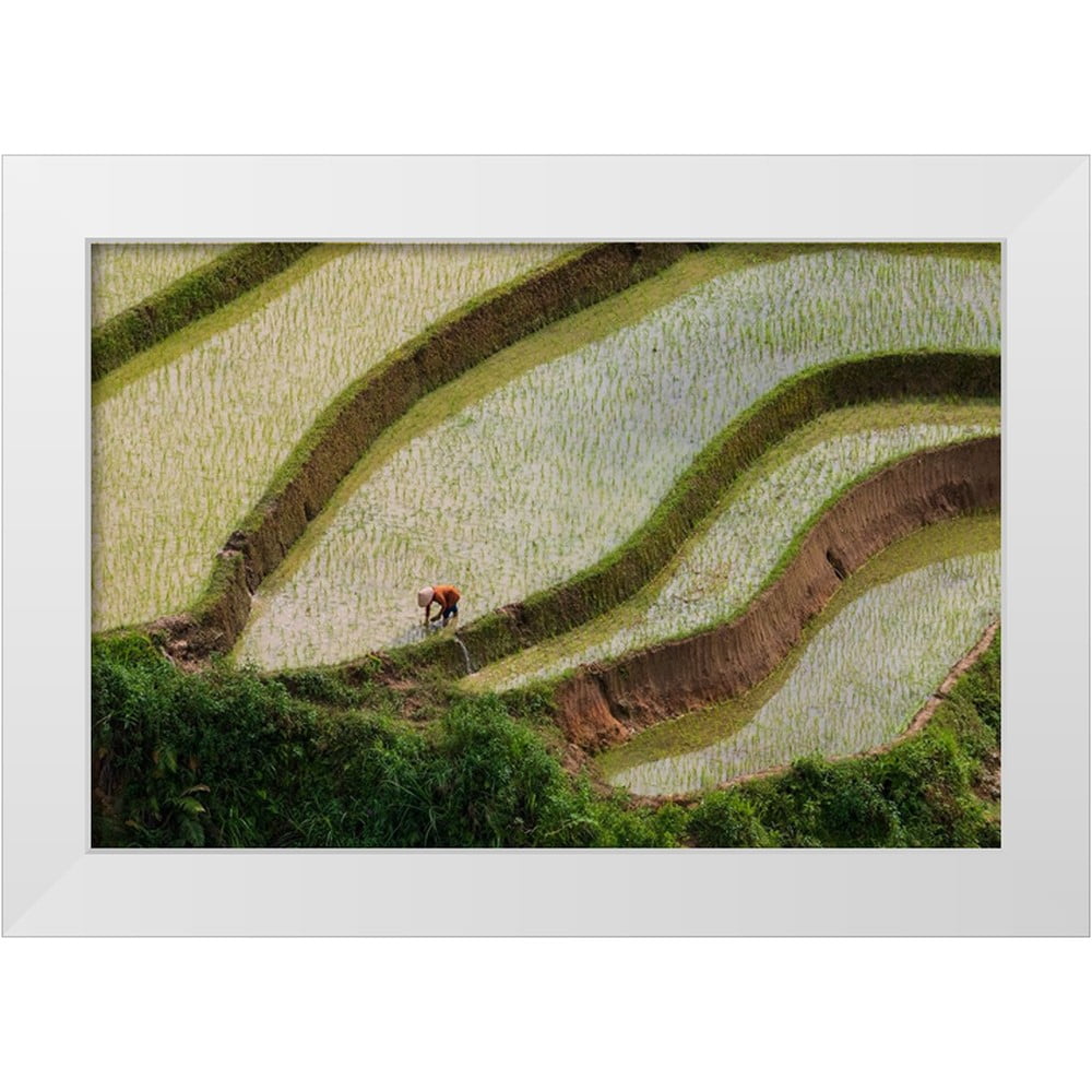 Norring, Tom 24x17 White Modern Wood Framed Museum Art Print Titled ...