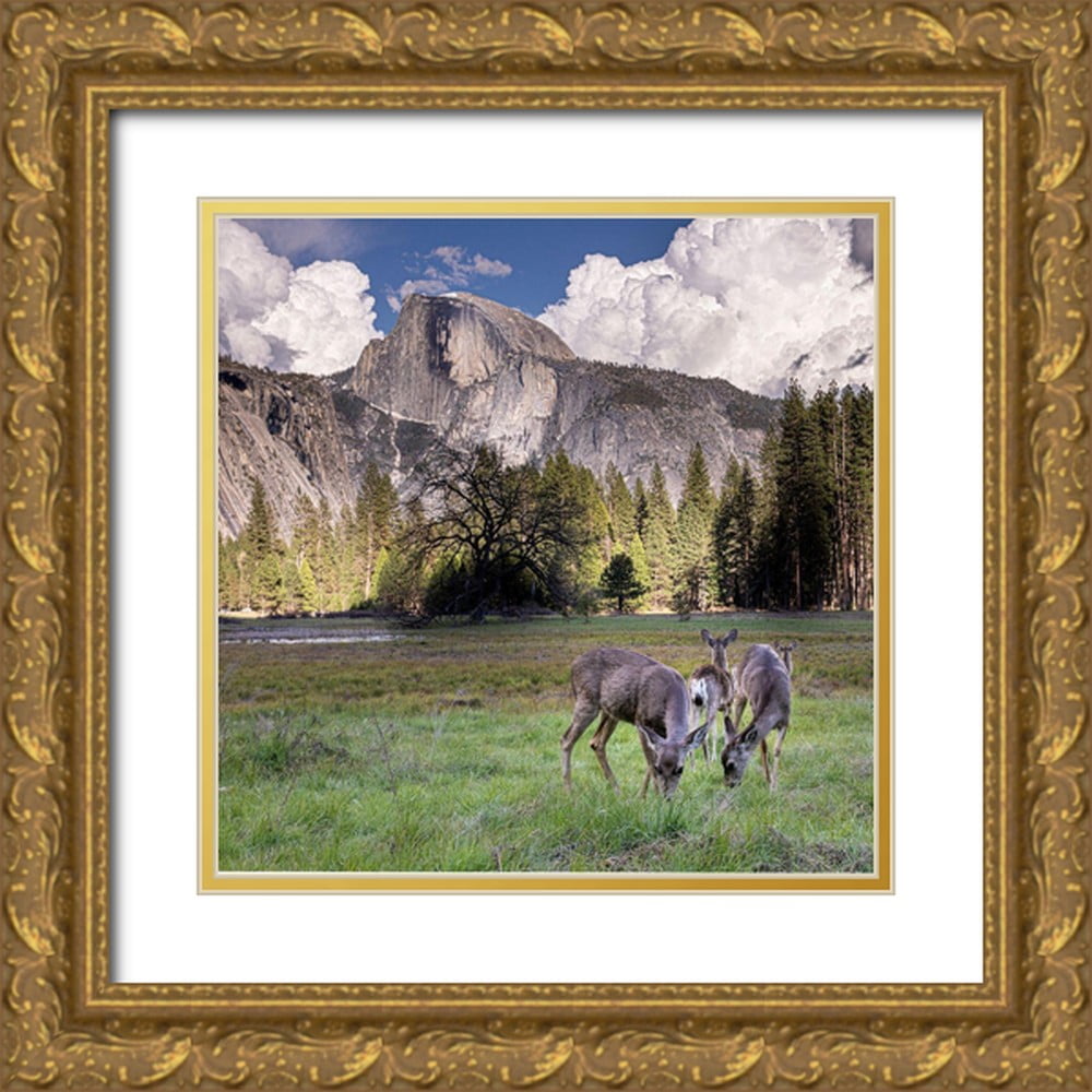 Norring, Tom 26x26 Gold Ornate Wood Framed with Double Matting Museum ...