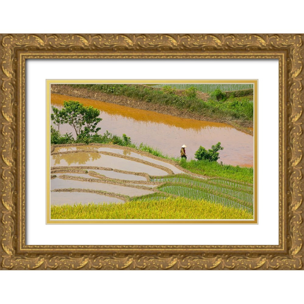 Norring, Tom 32x23 Gold Ornate Wood Framed with Double Matting Museum ...