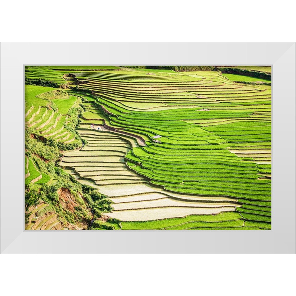 Norring, Tom 32x23 White Modern Wood Framed Museum Art Print Titled ...