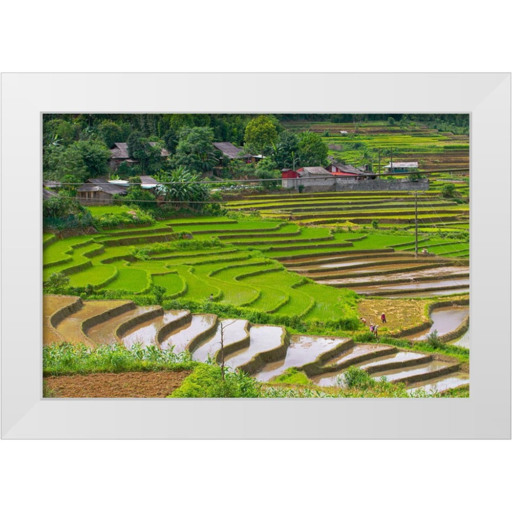 Norring, Tom 32x23 White Modern Wood Framed Museum Art Print Titled ...