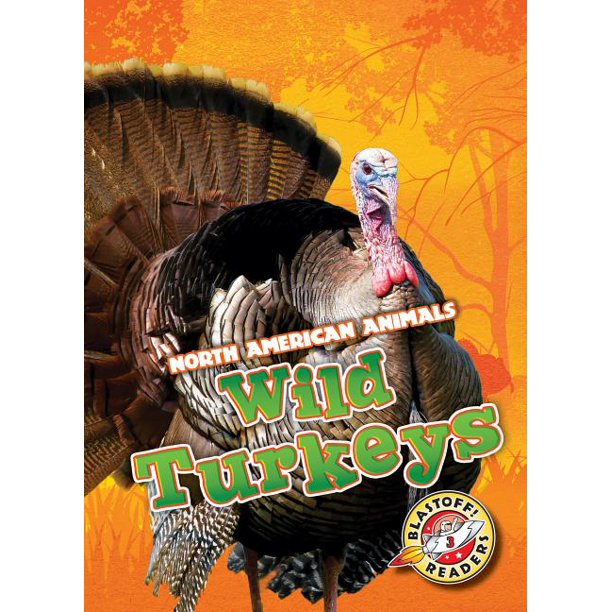 North American Animals: Wild Turkeys (Hardcover) - Walmart.com