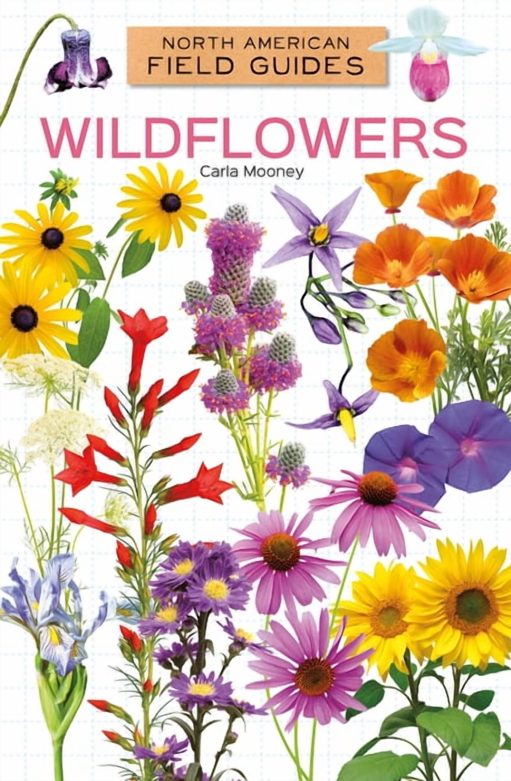North American Field Guides Set 4 Wildflowers, (Hardcover) - Walmart.com