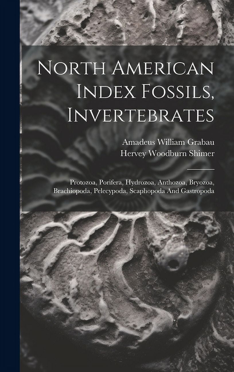 North American Index Fossils, Invertebrates: Protozoa, Porifera ...