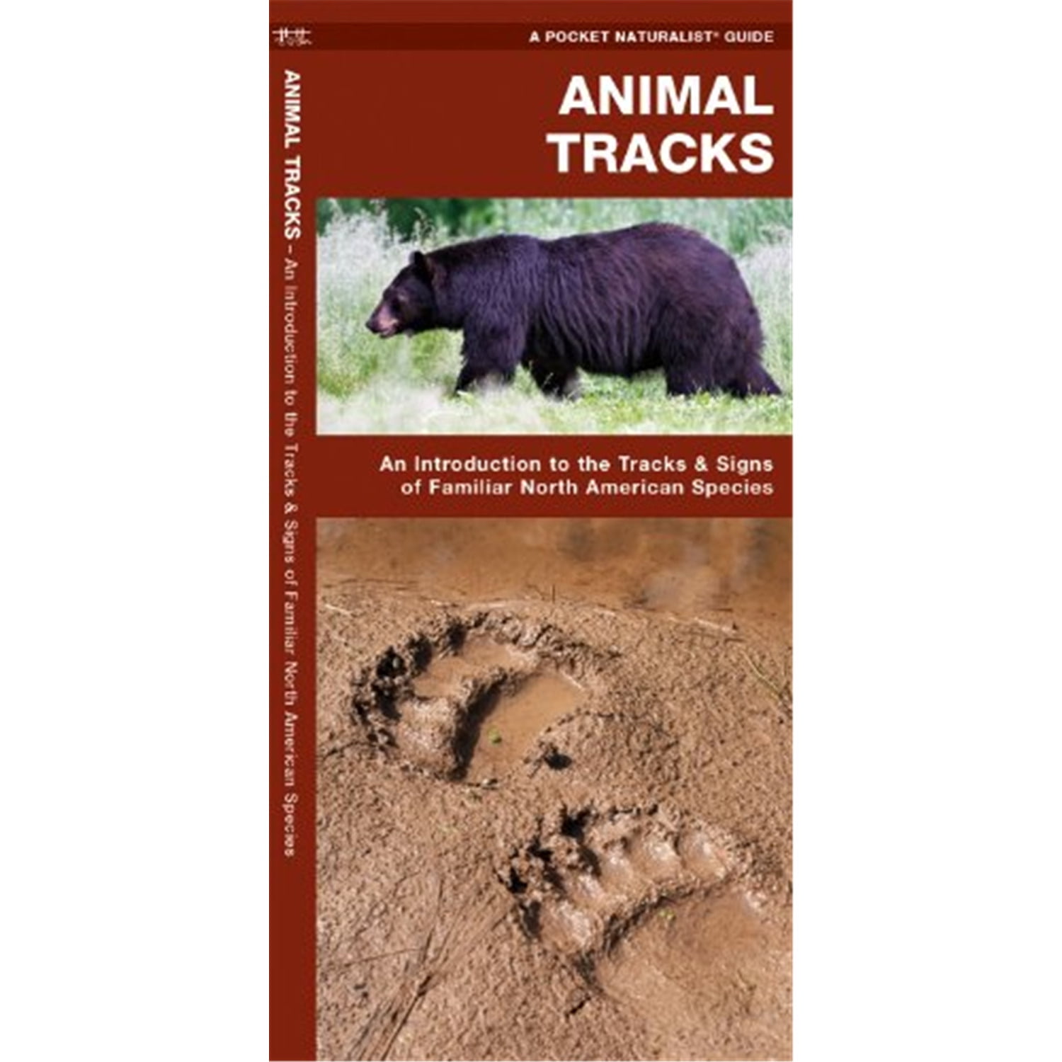 North American Nature Guides: Animal Tracks: A Folding Pocket Guide to ...